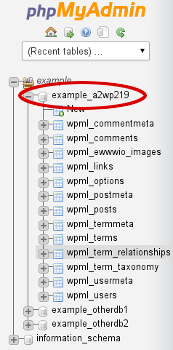 How to Configure WordPress to Use Temporary URL - Support