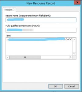 Adding TXT records to your Windows Servers
