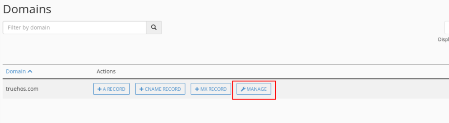 How to manage DNS records in cPanel