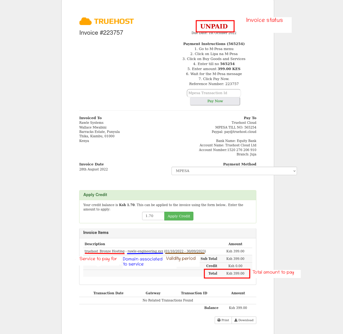 Screenshot-2022-10-18-at-13-17-53-Truehost-Cloud-Invoice-223757