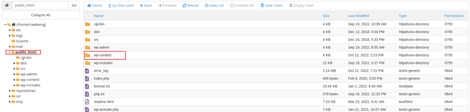 How To Disable A Plugin In Wordpress From File Manager Support