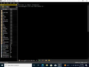 How To Use SmarTTY for SSH access.