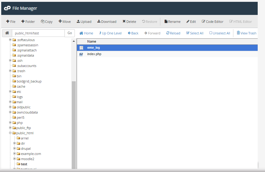  How To Check Error Logs In CPanel Support