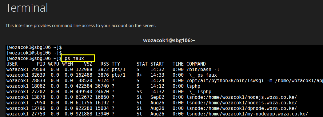 How To Kill Python Or Nodejs Processes On Cpanel