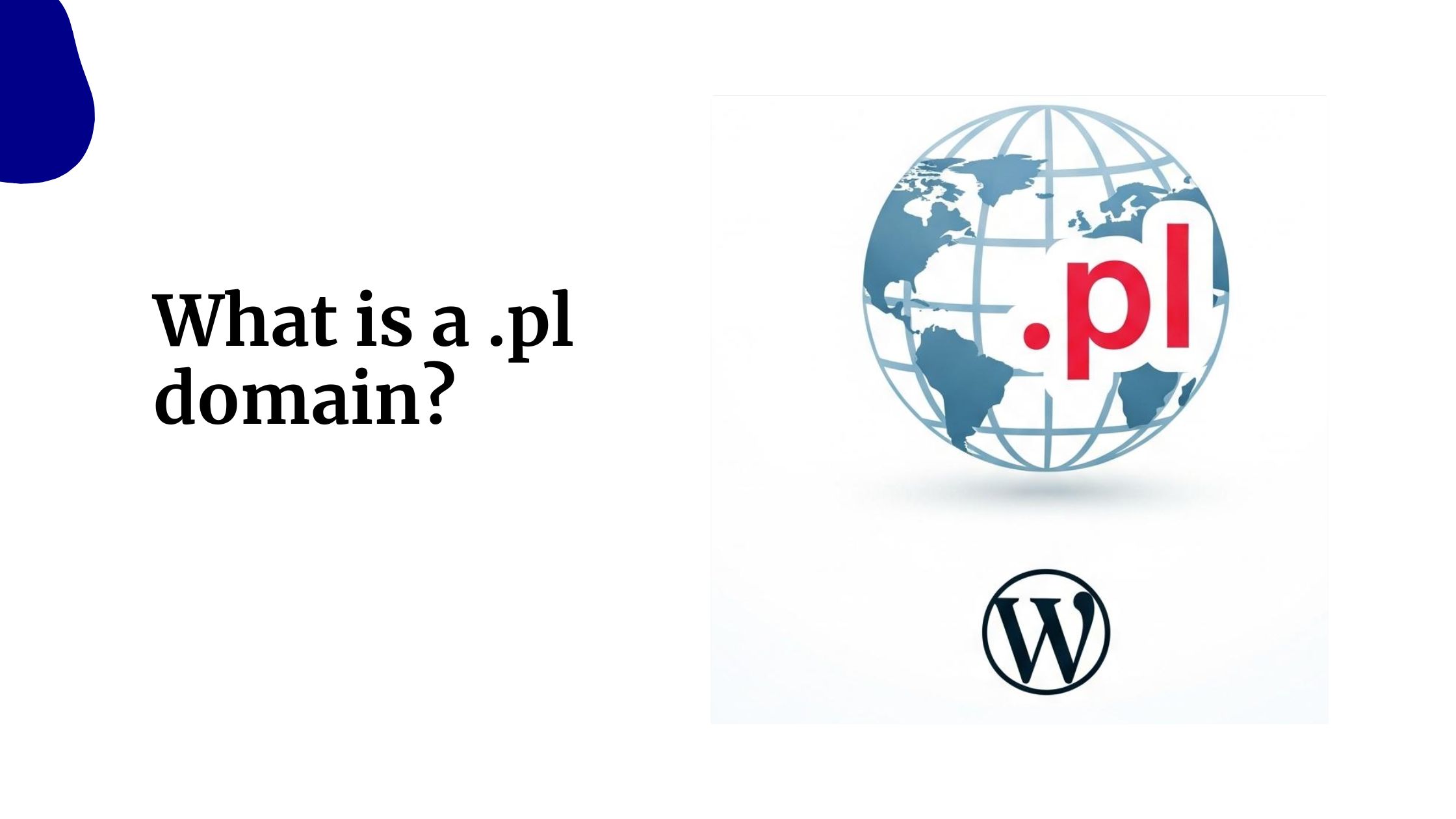 What is a .pl domain?