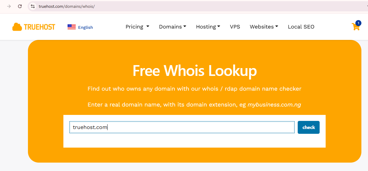 How to Check If a Domain Name Is Available (Step-by-Step)