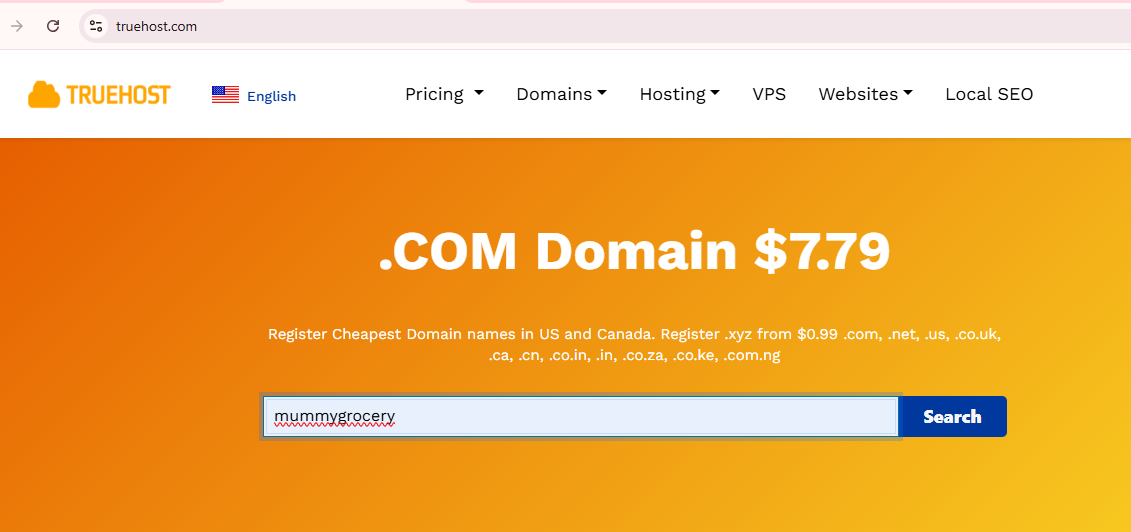 How to Check If a Domain Name Is Available (Step-by-Step)