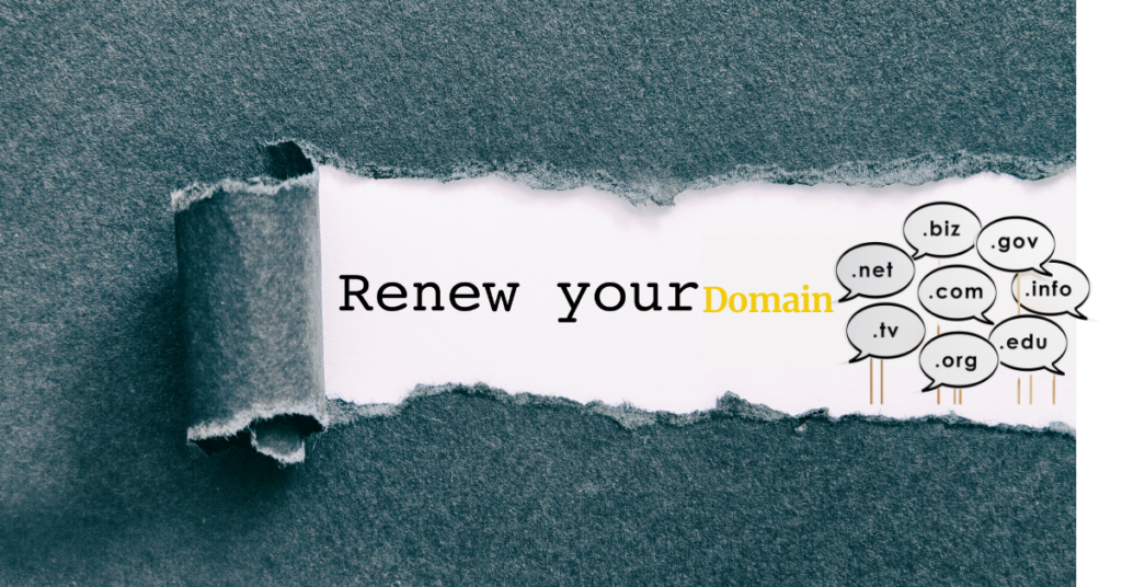 What is Domain Name Renewal?
